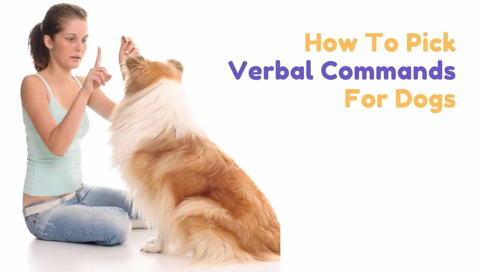 How To Pick Verbal Commands For Dogs?